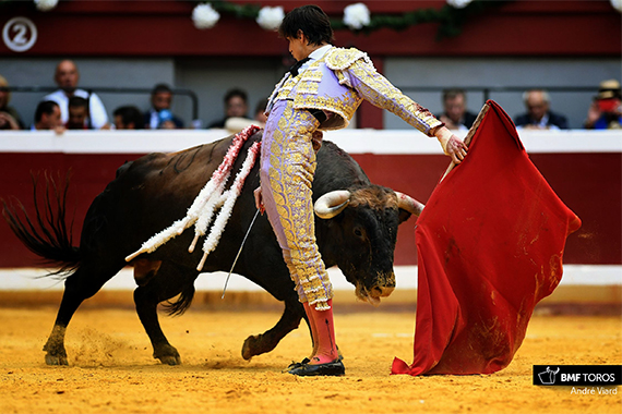 Roca Rey, Concha de Oro 2018 en San Sebastián - TorosenelMundo