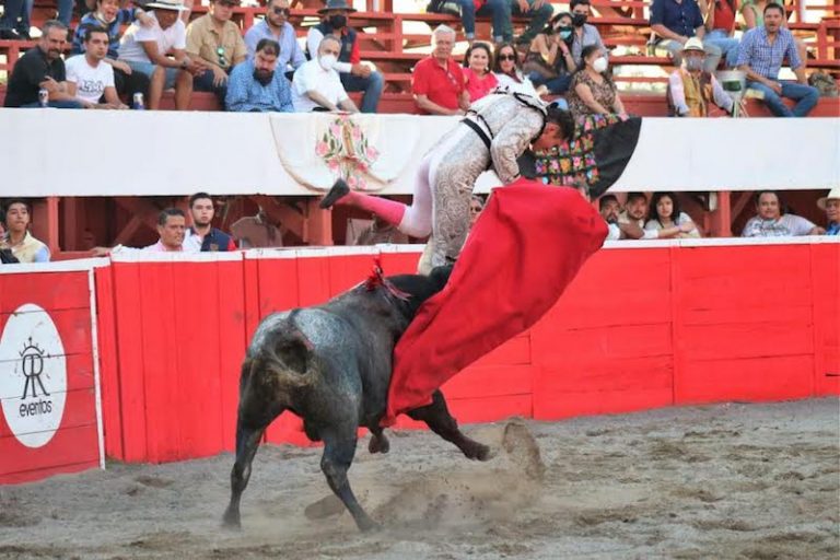 Cornada penetrante de abdomen recibió Diego Garmendia - TorosenelMundo