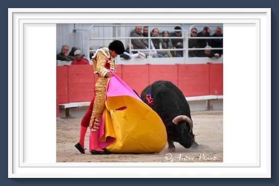 Galería. Así vio la inspiración de André Viard… triunfar y salir por la ...