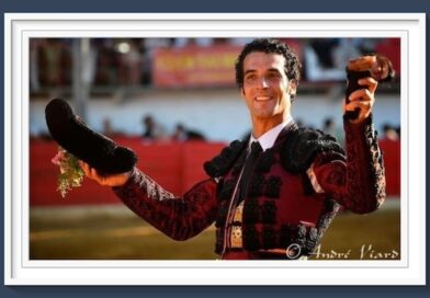 TorosenelMundo - Toda la información con la verdad por delante