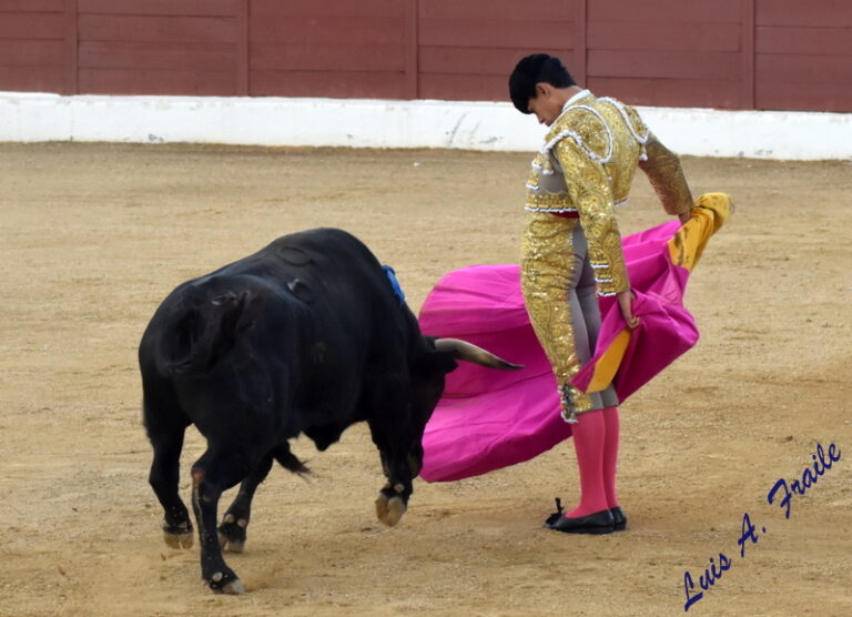 En Guadarrama… Puerta grande para el mexicano Ignacio Garibay ...